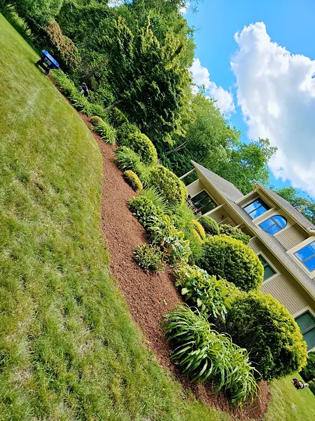 Beyond The Roots Landscape & Tree Care: Lawn Care & Lawn Maintenance